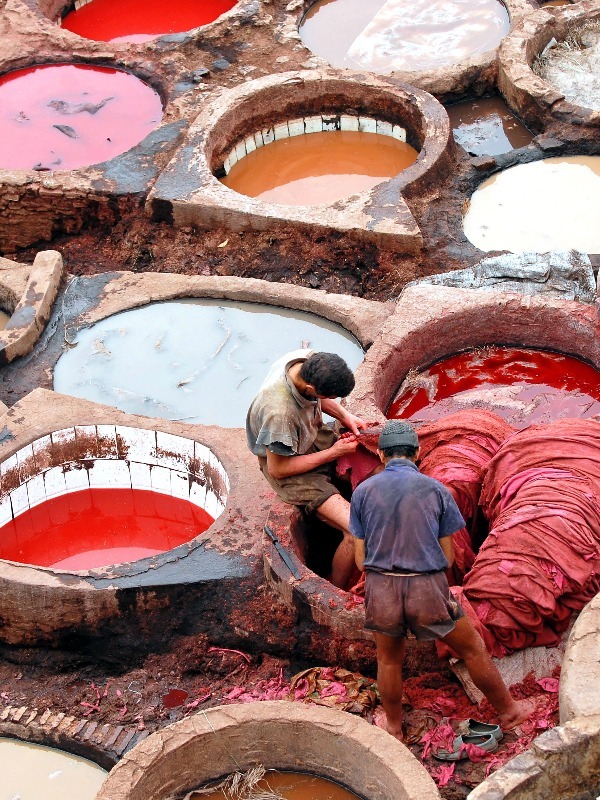 What to See in Fez: the Top 9 Things to See