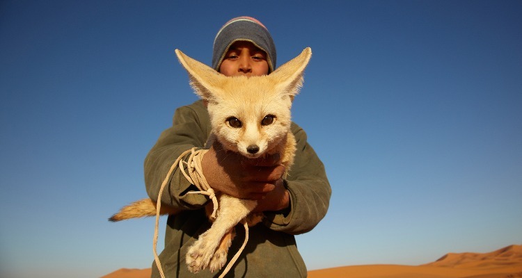 Morocco Weather in November 2025: Travel Tips for First-Timers