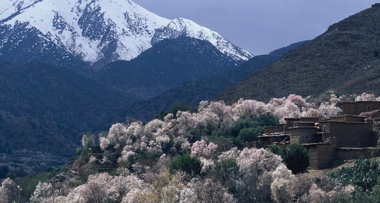 Morocco Weather in January 2026: Travel Tips for First-Timers