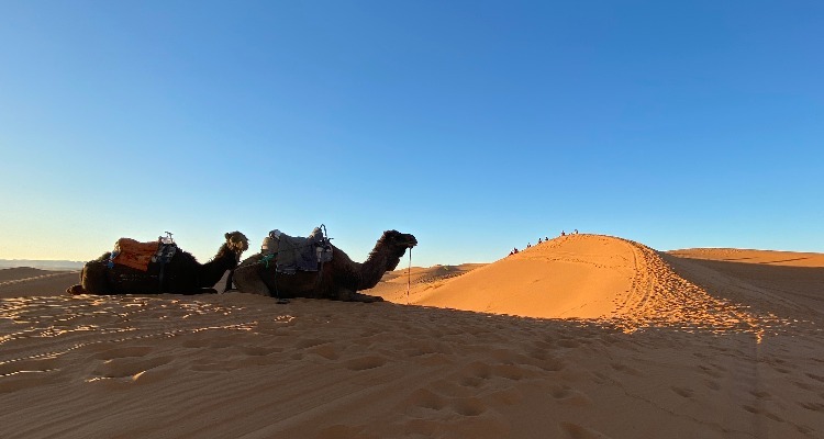 Morocco Weather in January 2026: Travel Tips for First-Timers