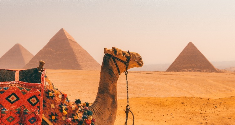 Top 7 Ancient Cities of Egypt: Location and Unique Features