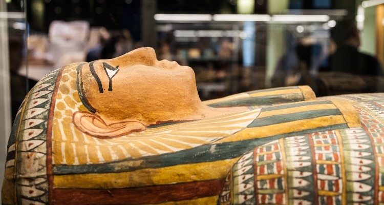 What is the Egyptian Social Pyramid? — Pharoahs to Slaves