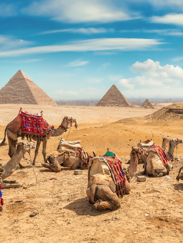 What is the Egyptian Social Pyramid? — Pharoahs to Slaves