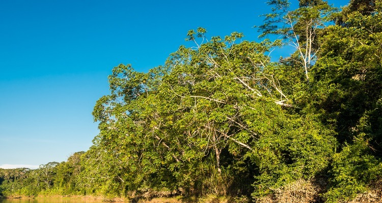 Peru Weather in August 2025: Travel Tips for First-Timers