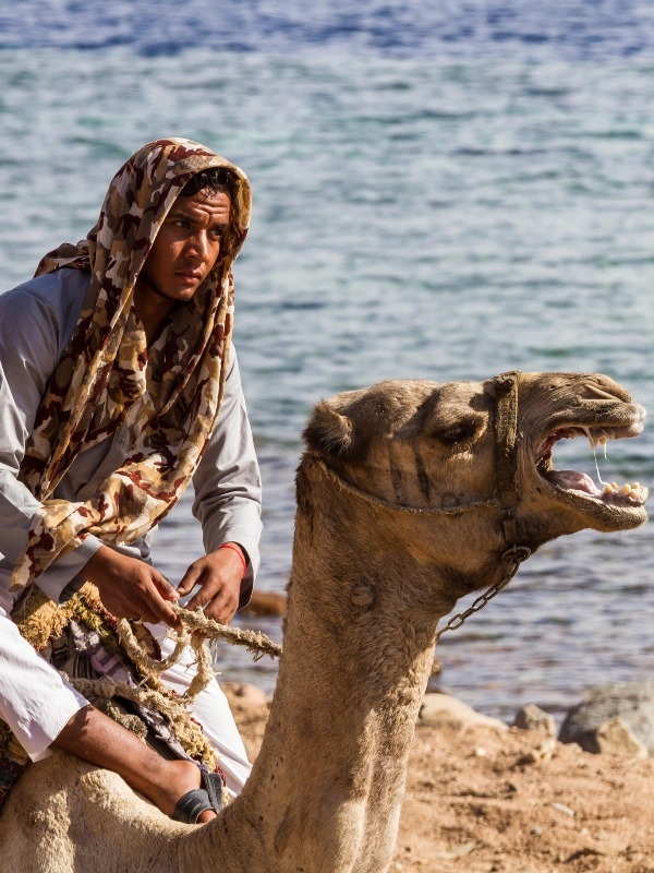 Weather in Egypt in June 2024: Best Places to Go & Travel Tips