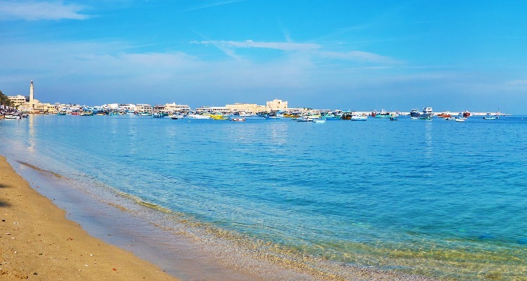 How to Plan a Trip to Alexandria - 7 Things to Know