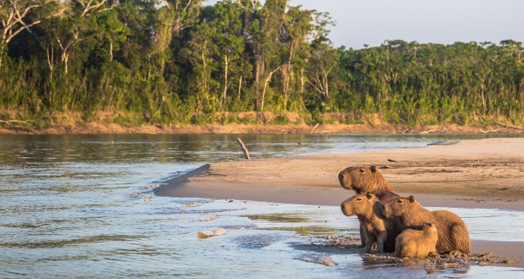 Peru Weather in August 2025: Travel Tips for First-Timers