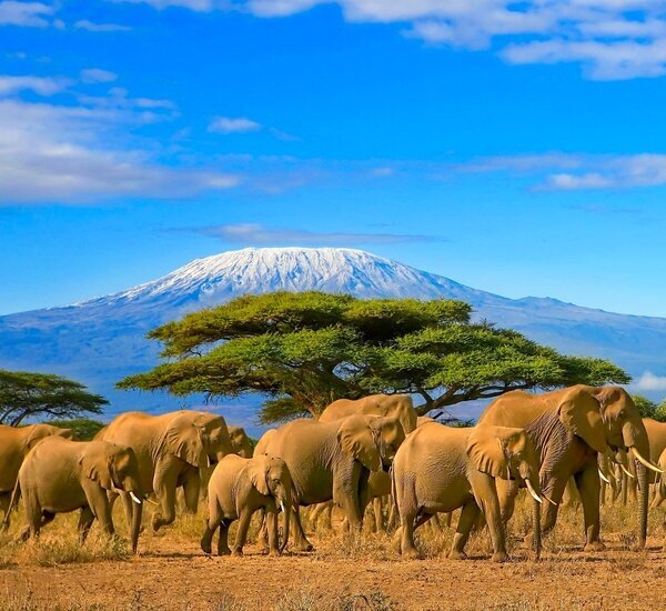 Kenya Weather in July 2026: Travel Tips for First-Timers