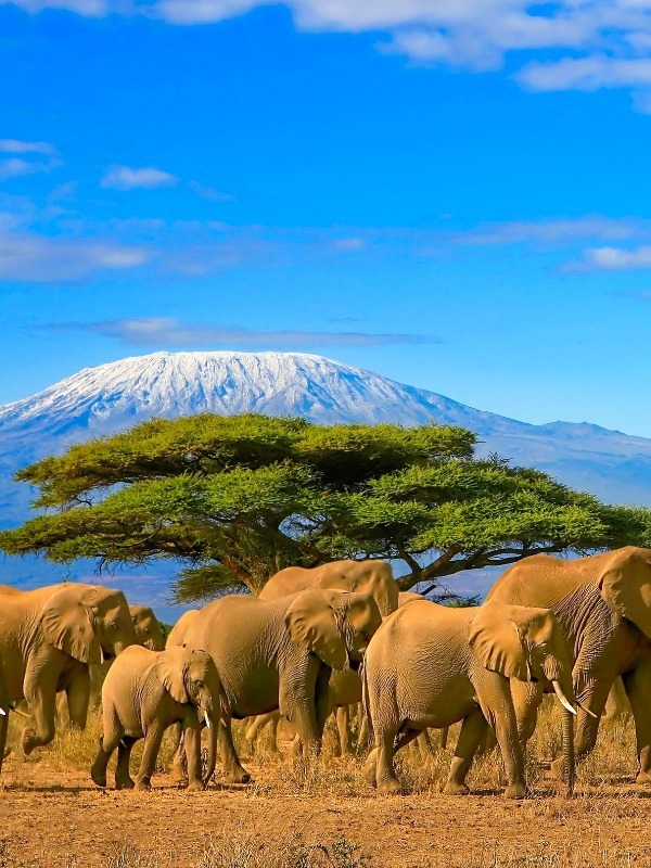 Tanzania Weather Visitor Information