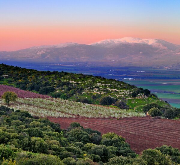 Israel Weather in March 2026: The Beginning of Spring, Places to Visit