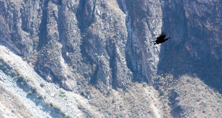 Peru Weather in October 2026: Travel Tips for First-Timers