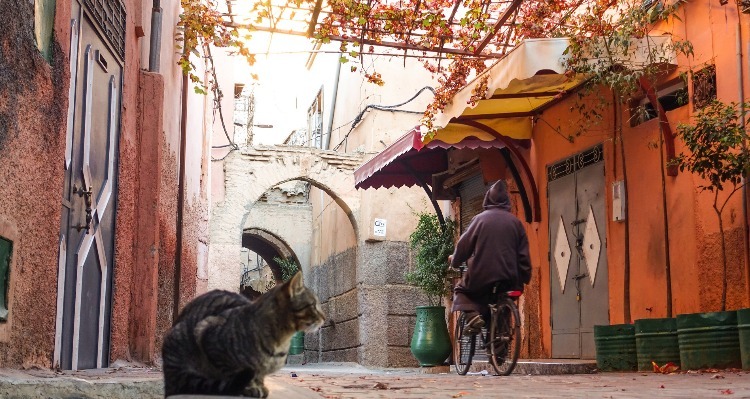 Morocco Weather in October 2024: Travel Tips for First-Timers