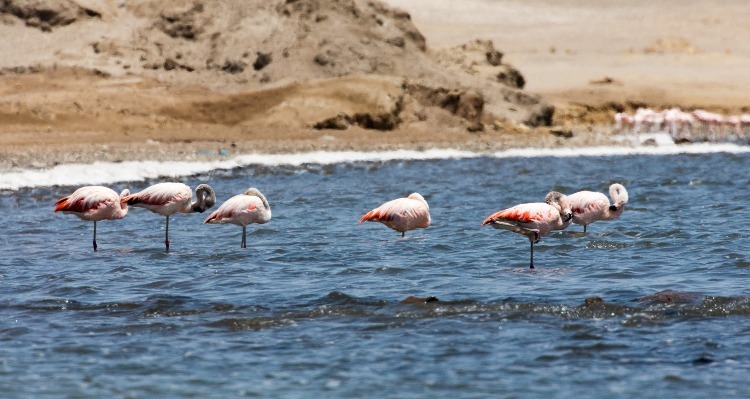 Peru Weather in December 2025: Travel Tips for First-Timers