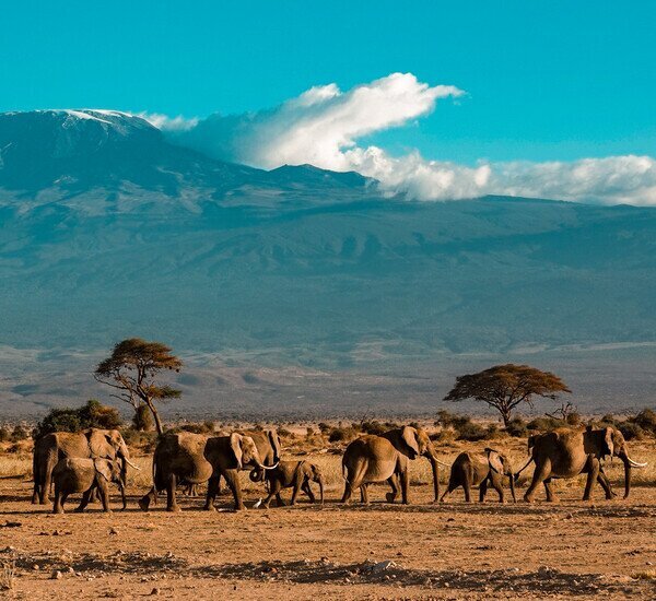 Kenya Weather in March 2026: Travel Tips for First-Timers