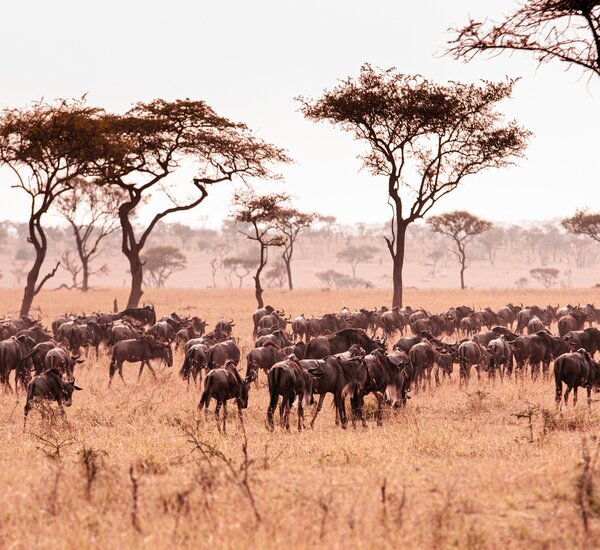 Kenya Weather in May 2026: Travel Tips for First-Timers