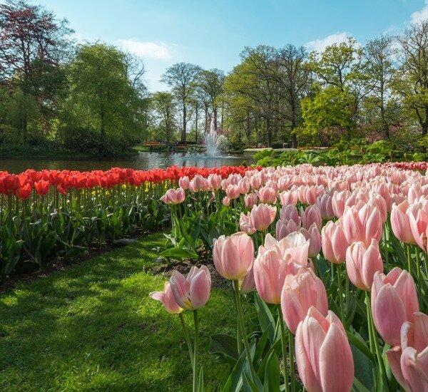 Turkey Weather in April 2026: Travel Tips for First-Timers