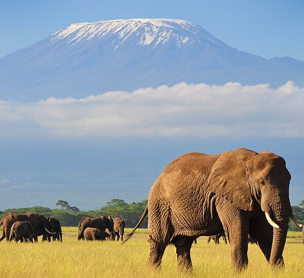 Kenya Weather in April 2026: Travel Tips for First-Timers