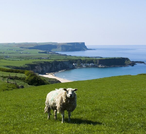 Ireland Weather in May 2026: Travel Tips for First-Timers