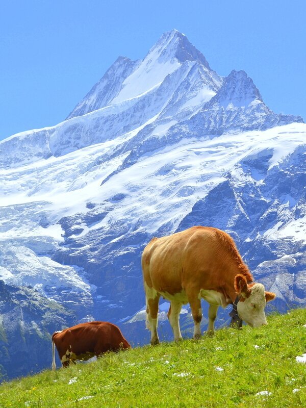 Switzerland Weather in April: Travel Tips for First-Timers