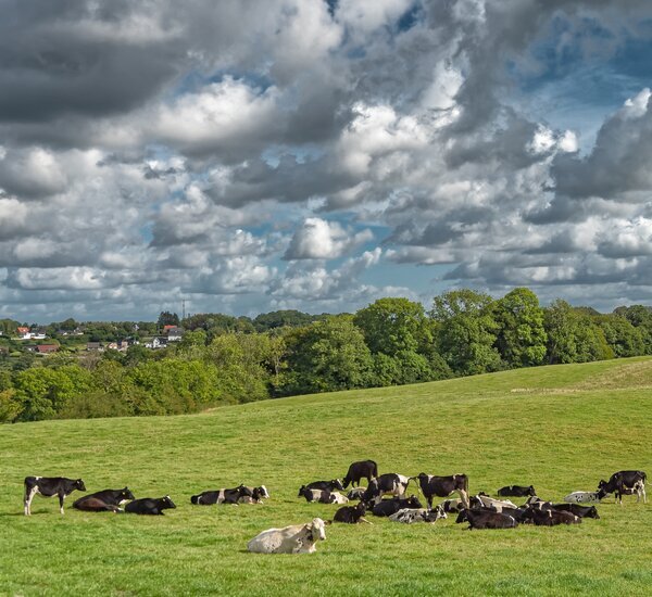 Denmark Weather in June 2026: Travel Tips for First-Timers