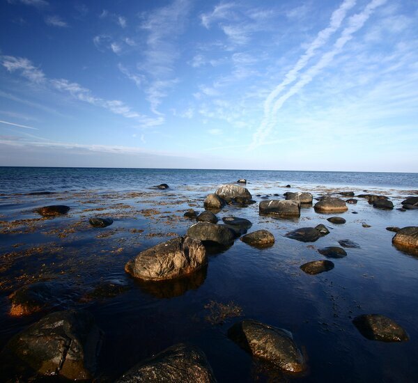 Denmark Weather in May 2026: Travel Tips for First-Timers