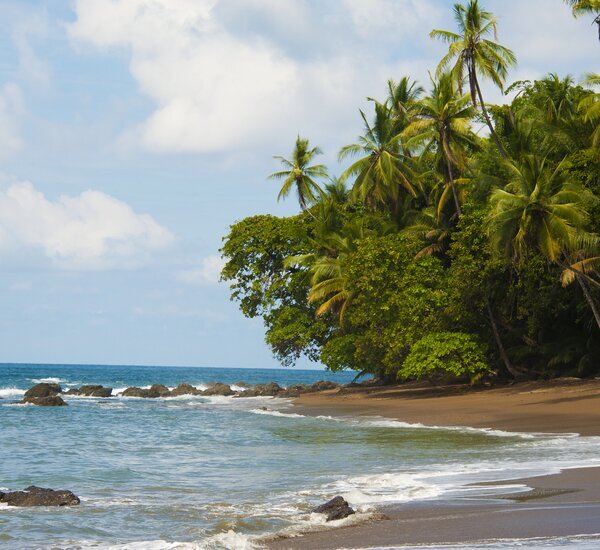 Costa Rica Weather in June 2026: Green and Rainy
